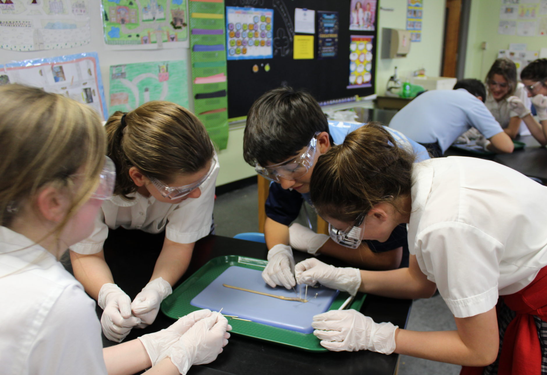 Middle School - St. Angela Merici School